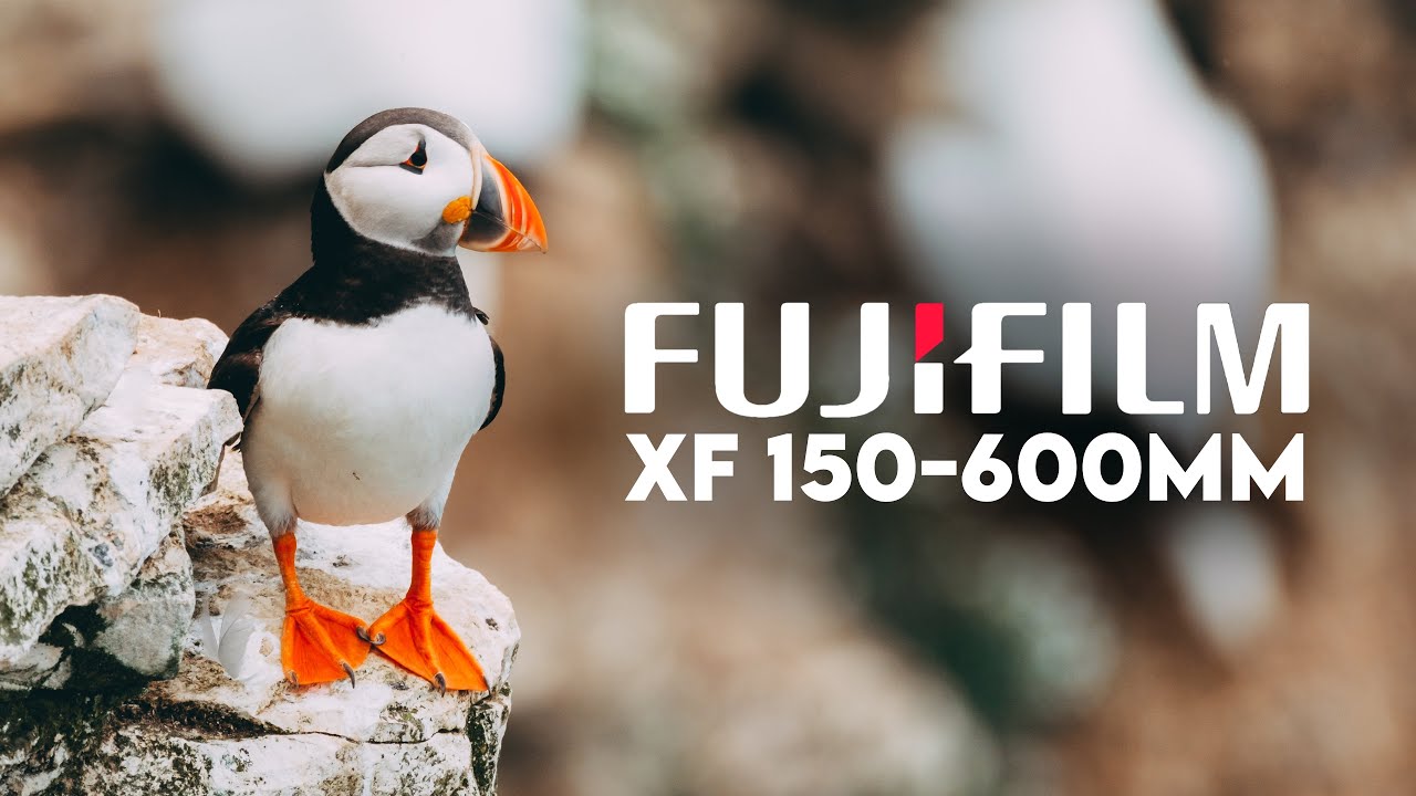 I'VE DREAMED OF THIS TRIP! - FUJIFILM 150-600MM REVIEW - YouTube