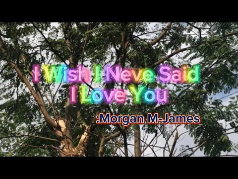 Morgan M-James:I Wish I Never Said I Love You(Lyrics Video) #lenveyTv ...