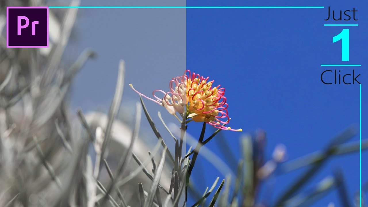 Cinematic Color Effect In Premiere Pro | NAFcreative | NAFtutorial ...