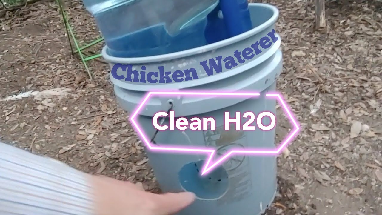Chicken waterer. Easiest DIY. Clean water! - YouTube