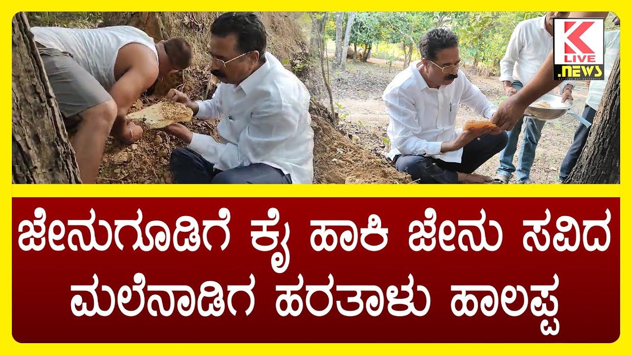 Hartalu Halappa | Hosanagara News #klivenews #news #bjpnews #bjp #sagar ...