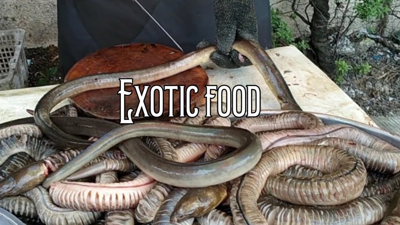 EXOTIC FOOD | BLACK EEL (PALOS) LAGAT SA LUYANG DILAW🇵🇭 - YouTube
