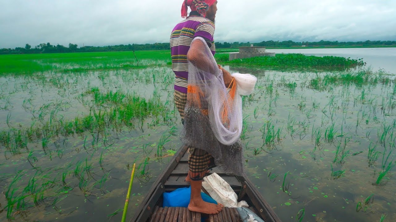 Net Fishing | Catching Fish By Cast Net | Fishing with beautiful nature ...