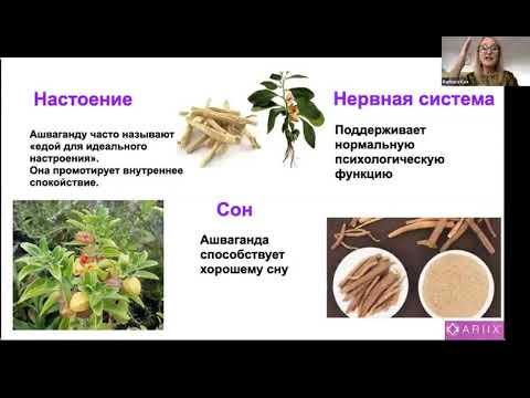 Elite - Ariix. - YouTube