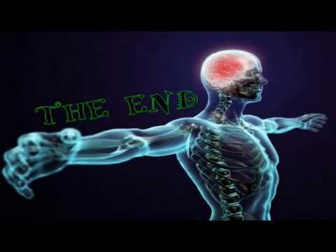 Biological processes in Human Body - YouTube