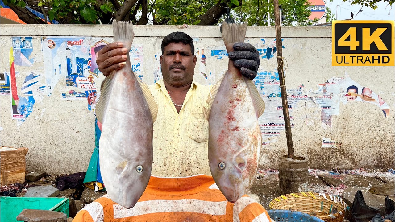 Seruppu Meen cutting video/Fishcuttingrs #fishcuttingrs #fish #kasimedu ...
