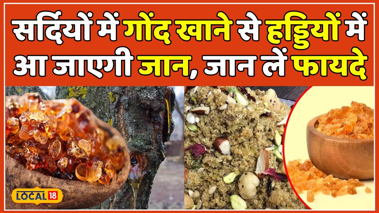 Health Benefits Of Babool Gond: काजू-बादाम से कम नहीं है इस पेड़ की ...