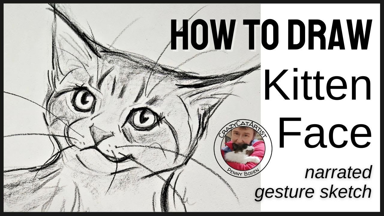 How to Draw Kitten Face, expressive front forward view head, cute ...