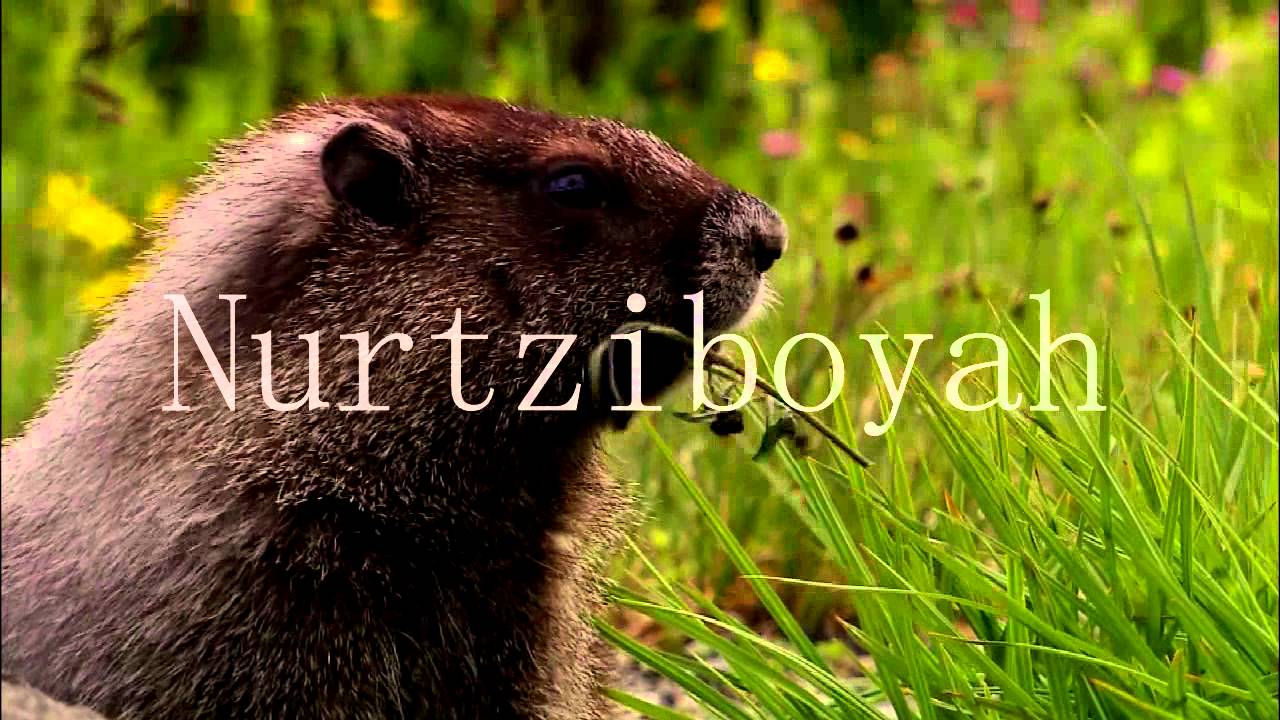 Windows 7 Sample Video Dubstep Remix - YouTube