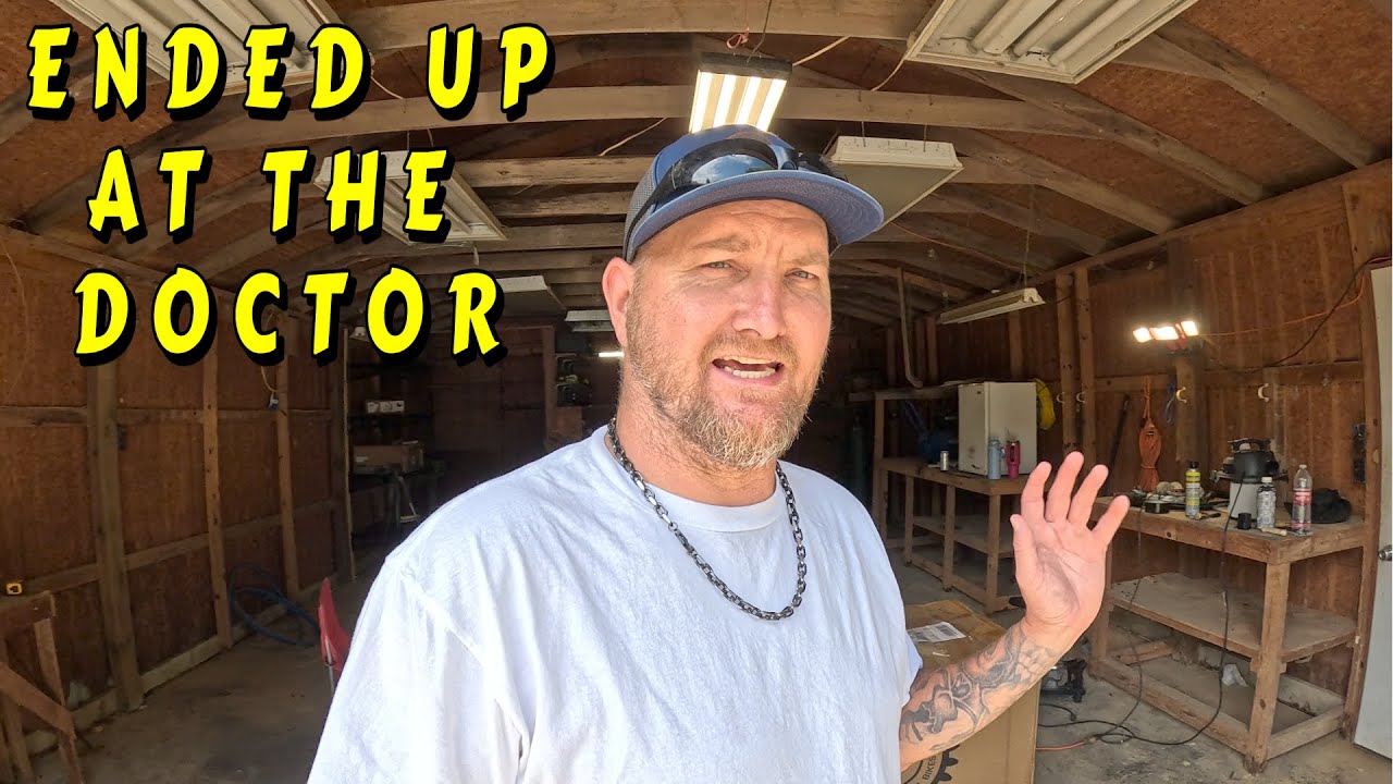 CAN THEY HELP |tiny house, homesteading, off-grid, cabin build DIY HOW ...