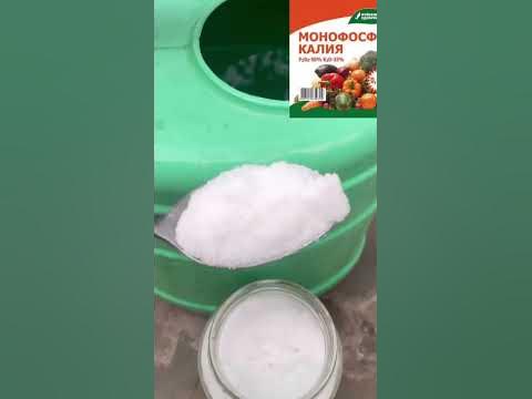 Осенняя подкормка пионов - секрет пышного цветения 🔥🔥🔥 - YouTube