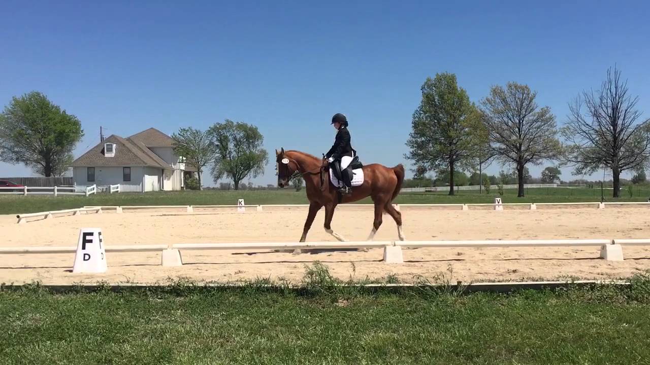 Joslyn Allen on Freddy - YouTube