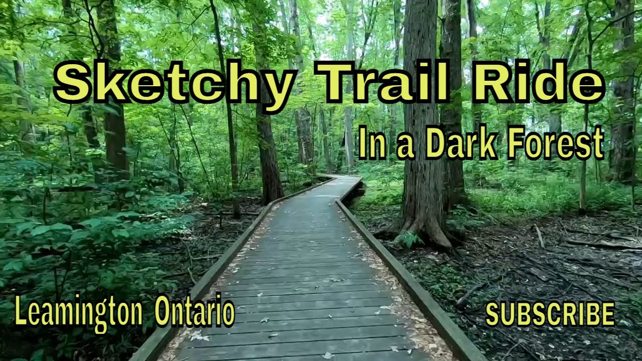Sketchy Dark Forest Trail Riding in Leamington Ontario - YouTube