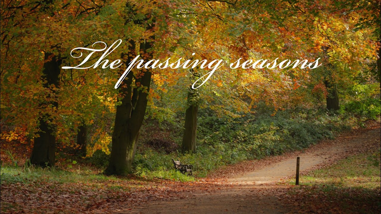 The passing seasons - YouTube