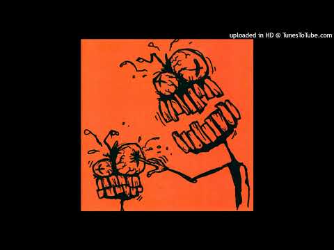 Taciturne - Exogyne | Releases | Discogs