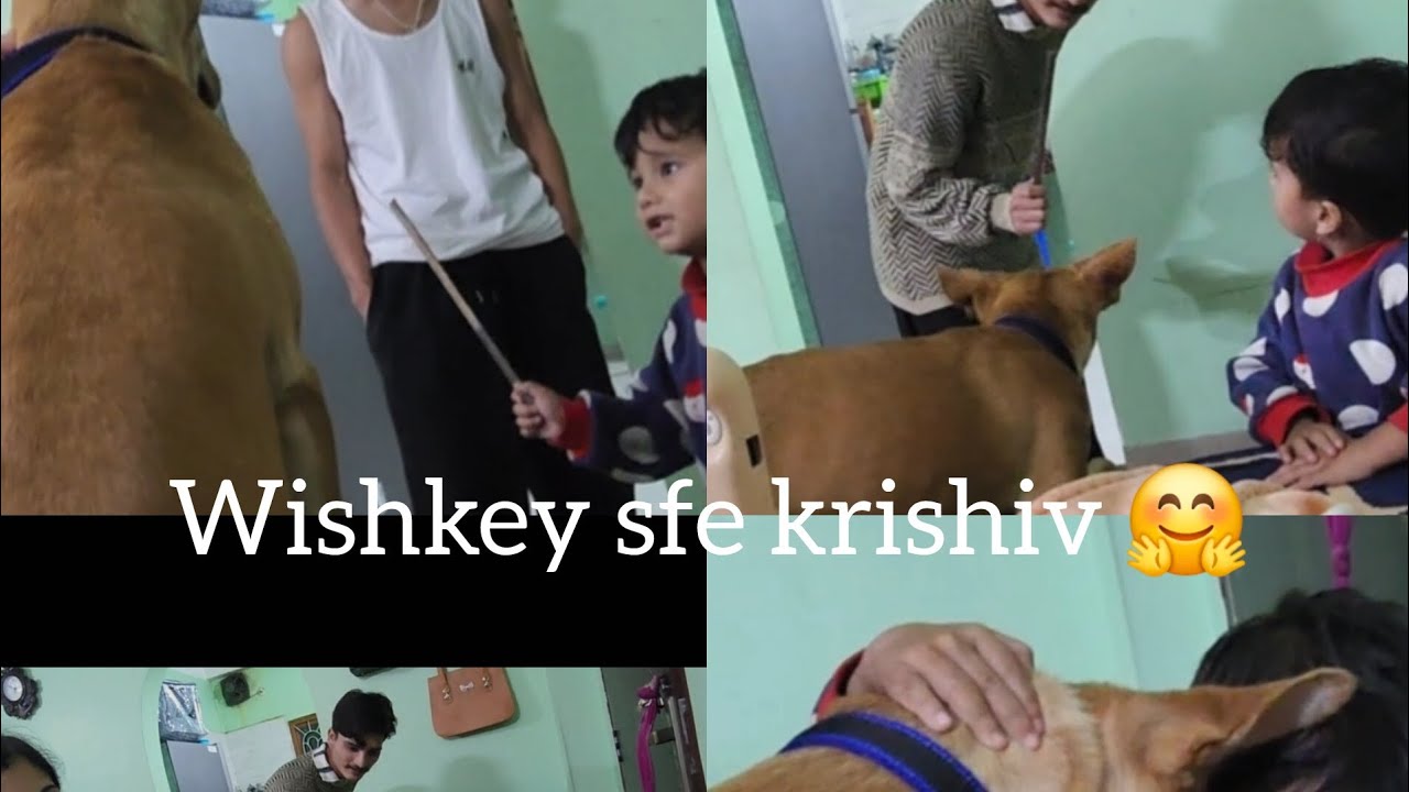 wiskey & krishiv - YouTube