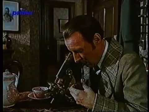 Pes Baskervillsky1983