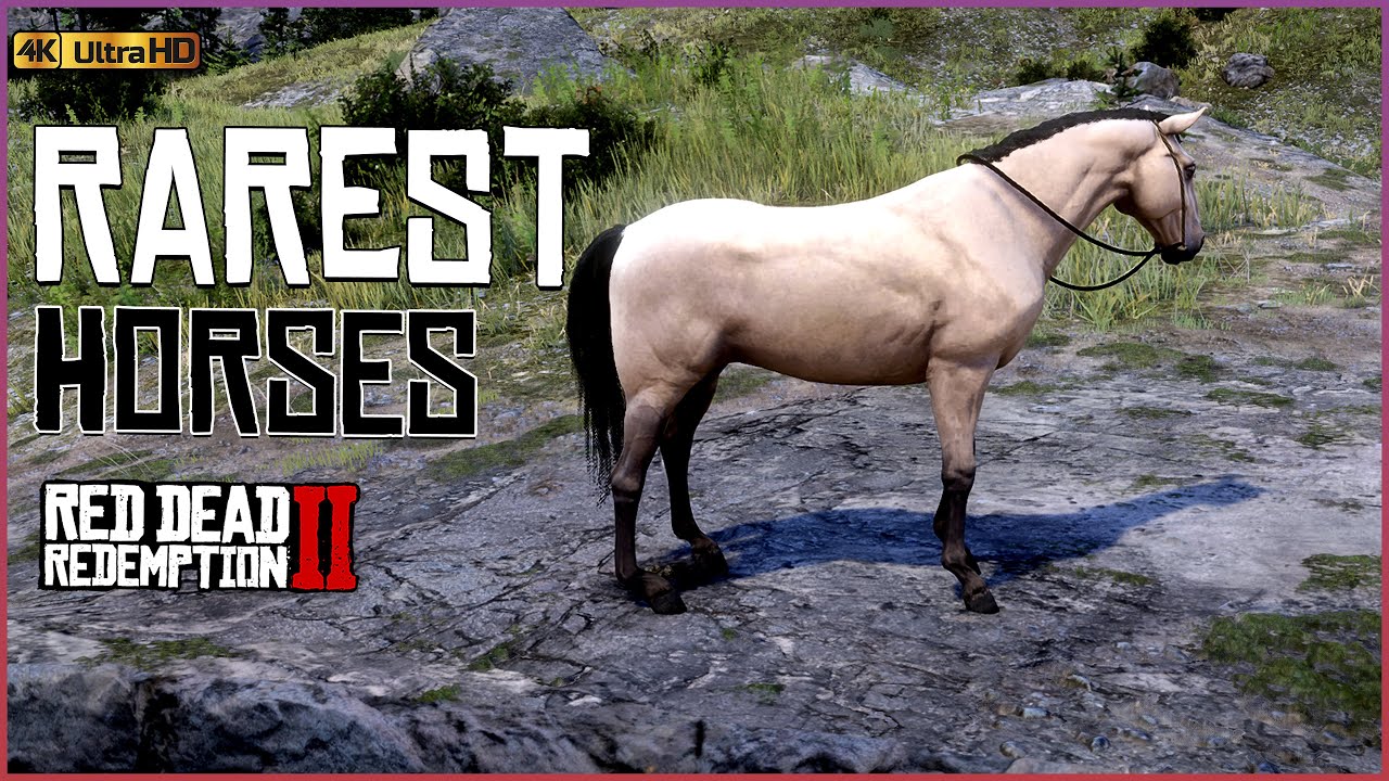 How To Get The Most Unique And Beautiful Horses IN RDR2 - YouTube