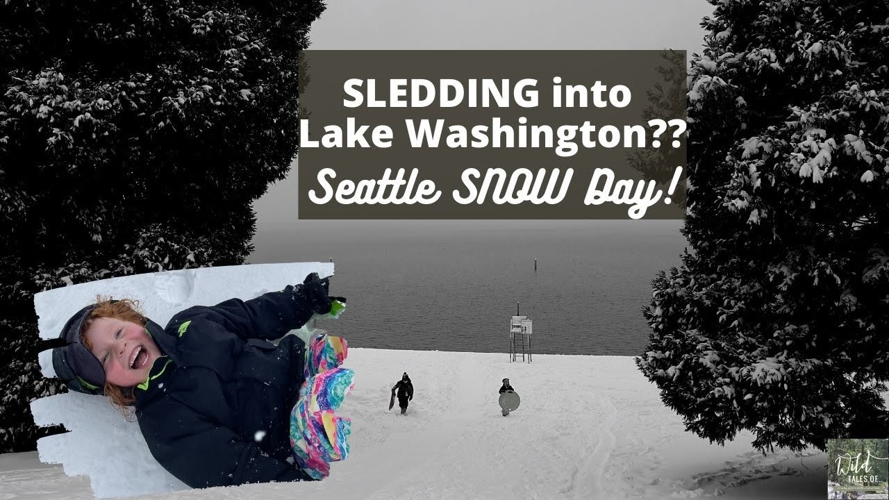 Sledding into Lake Washington?? | Seattle Snow 2021 | Wild Tales of ...