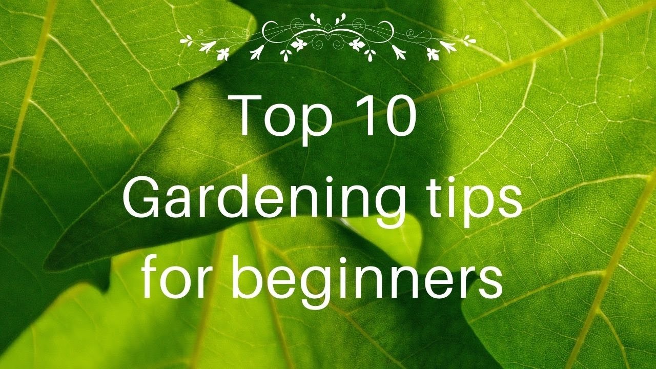 Top 10 Gardening Tips for Beginners | Gardening and prepper - YouTube