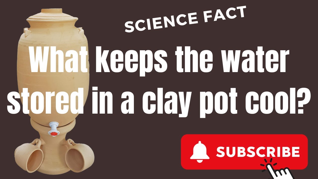 Science Fact || How does water stored in a mud pot remain cool?🥱🥱 - YouTube