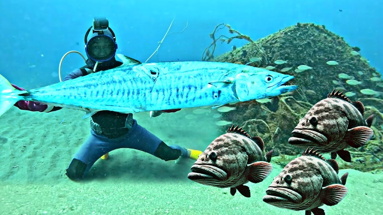 We went diving and caught the most delicious fish in the ocean. - YouTube