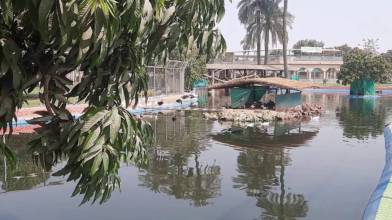Beautiful DHA Zoo 360 In Multan Punjab Pakistan. Trip places in Punjab ...