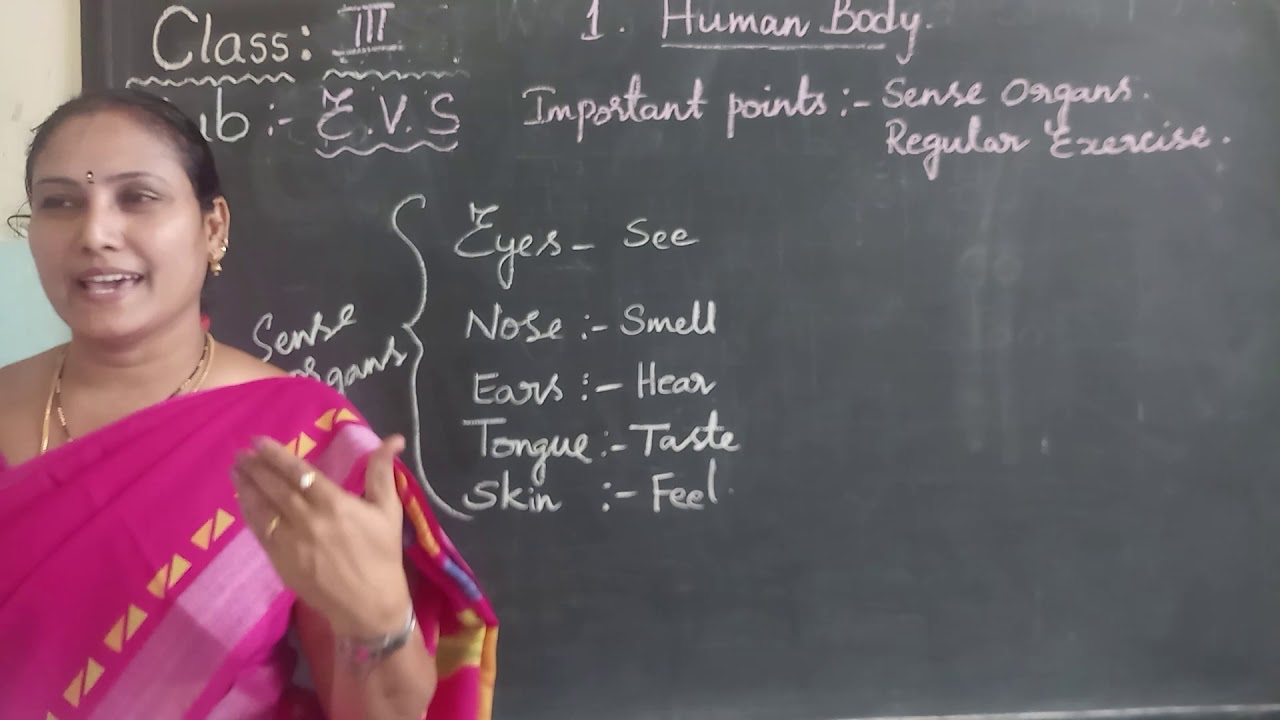 EVS Class 3 Lesson 1 Part 1 - YouTube
