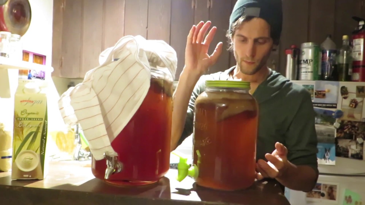 Basic Kombucha tutorial - YouTube
