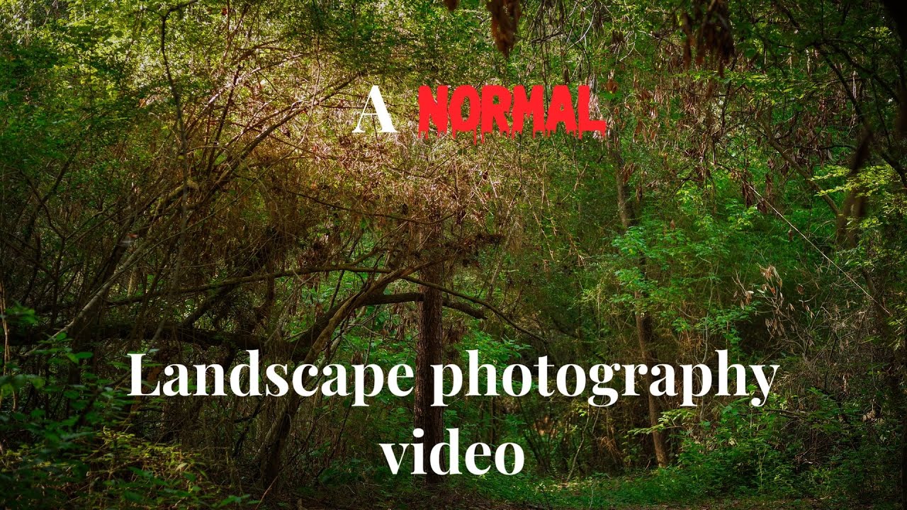 A Normal Landscape Photography Video - YouTube