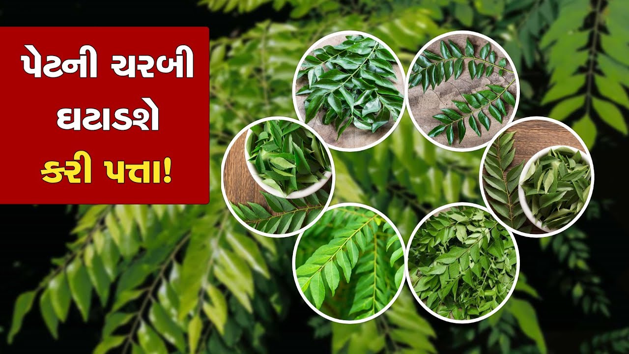 Can neem leaves reduce belly fat? - Know On ZEE 24 Kalak - YouTube