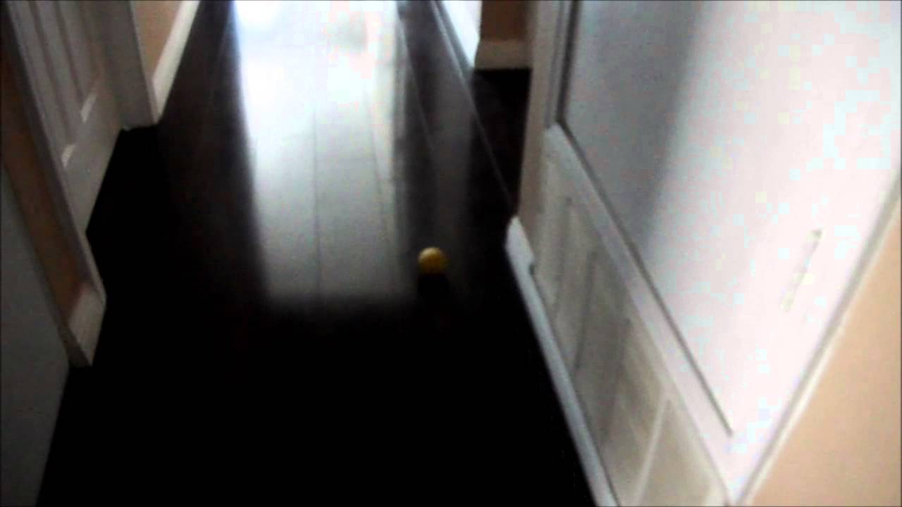 Extreme Sloping Floors Tip 343 - YouTube