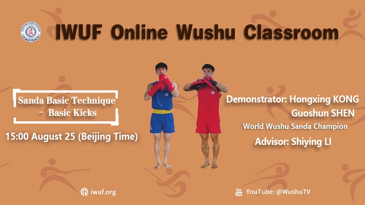 49. Sanda Basic Technique - Basic Kicks (1/2) - YouTube