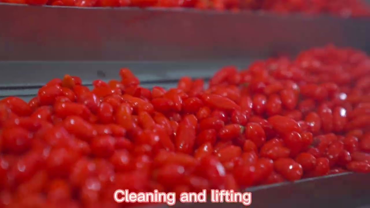 Shanghai EasyReal Wolfberry|Goji berries processing production line ...