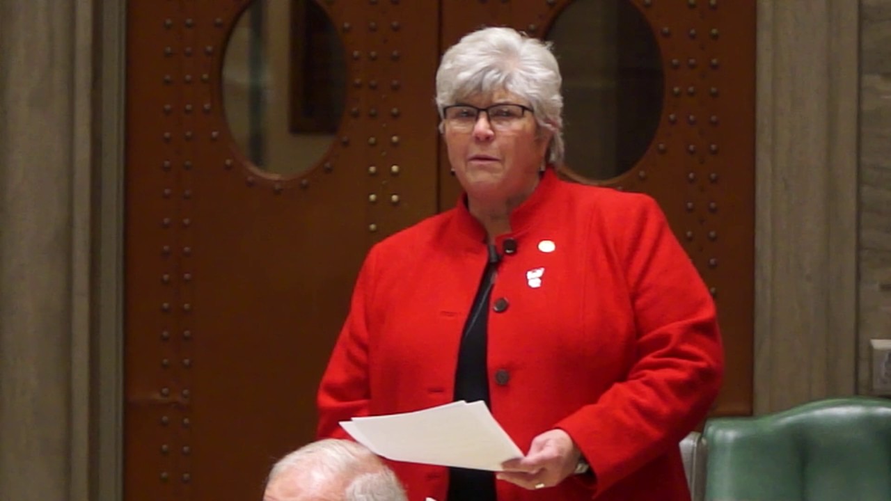 Missouri State Senator Gina Walsh Discusses the State of the 2017 ...