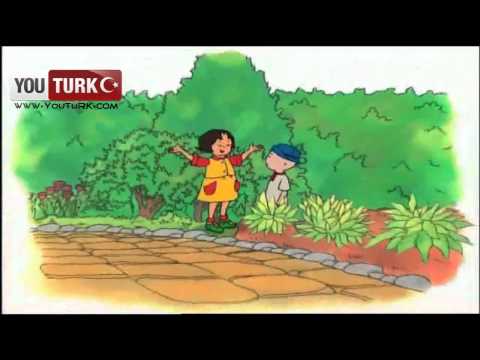 Caillou Türkce - Caillou Ormanda