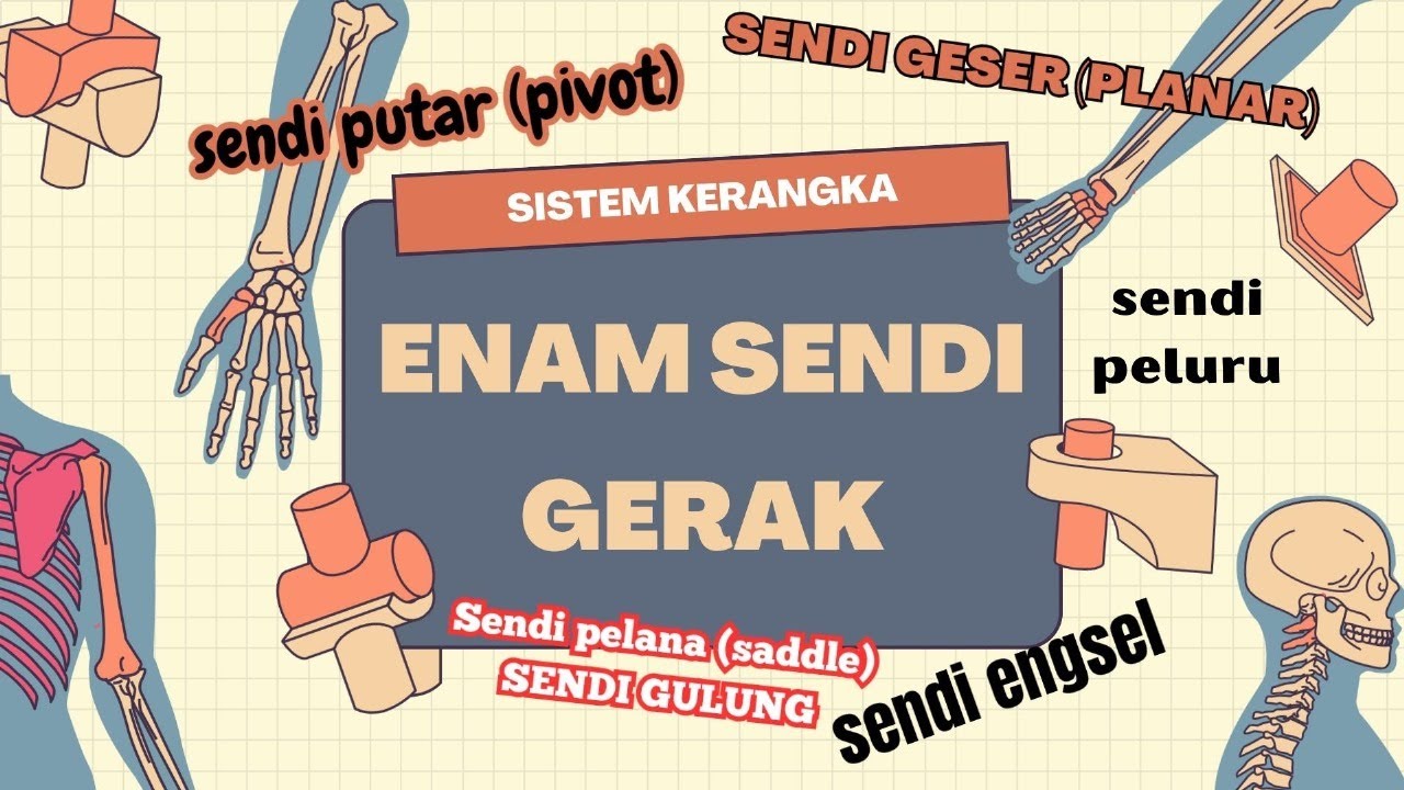SENDI GERAK DAN CONTOHNYA II SENDI MANUSIA II MACAM-MACAM SENDI II ALAT ...