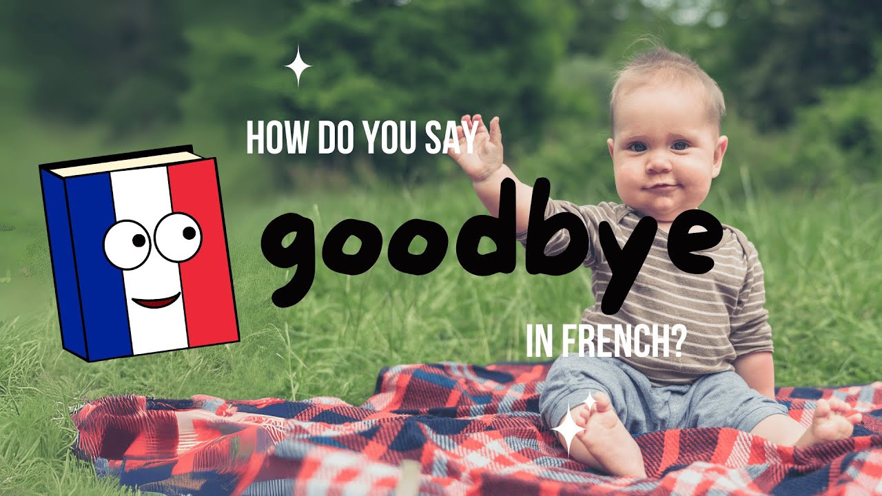 How to Say “Goodbye” in French 🇫🇷 | Au Revoir vs Adieu Explained for ...