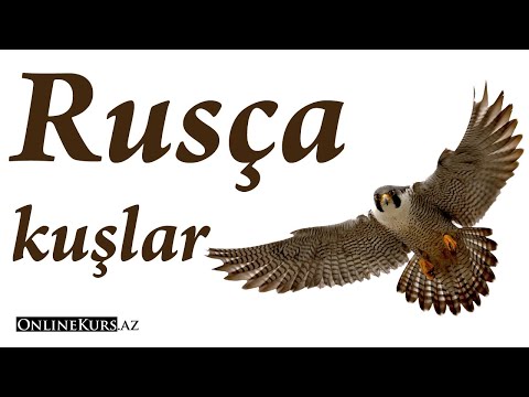 Rusça kuşlar