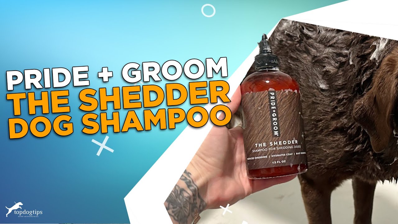 Review: Pride + Groom The Shedder Dog Shampoo - YouTube