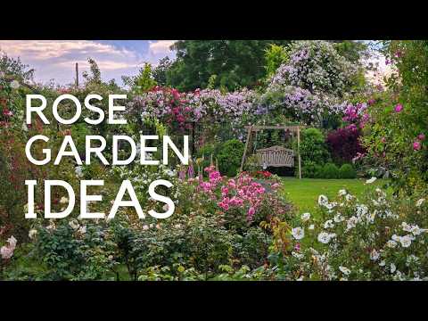 How To Design A Formal Rose Garden