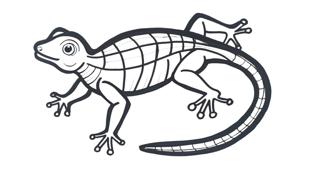 Easy Lizard Drawing Step by Step | Simple Reptile Sketch for Beginners ...