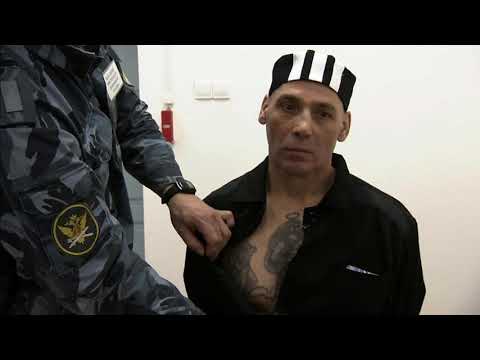Гио Пика Чёрный дельфин