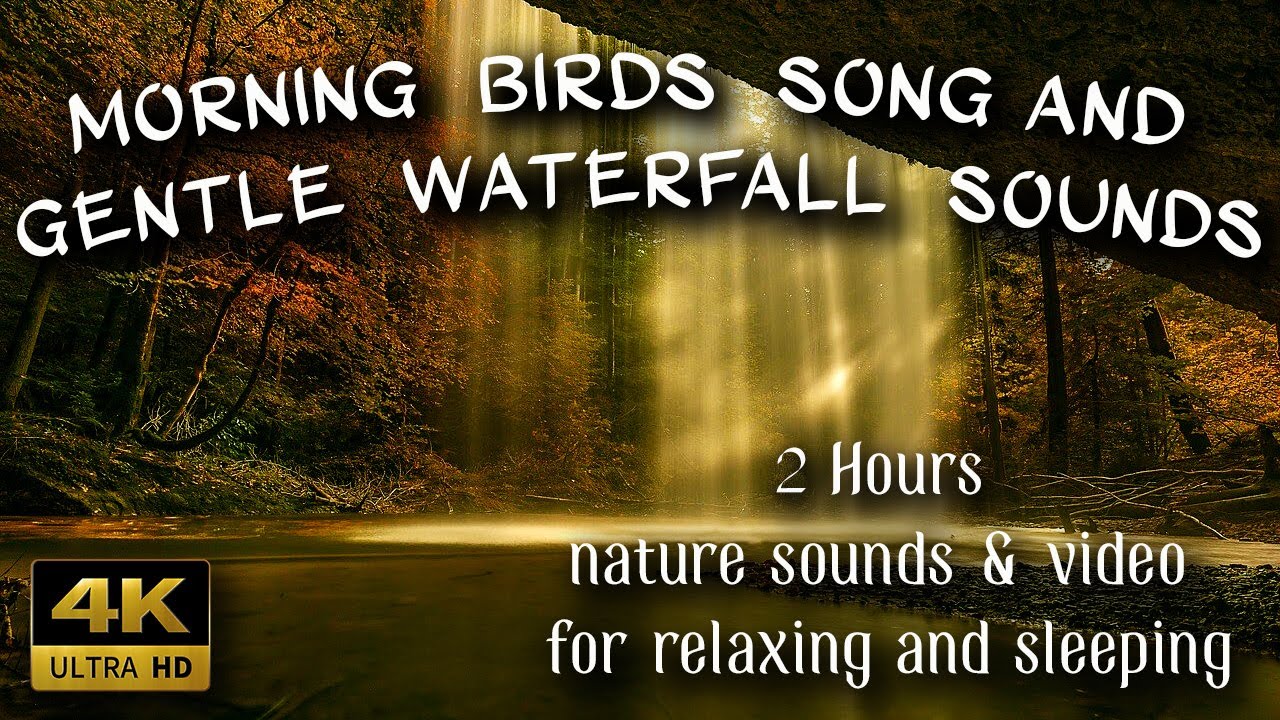 Morning birds song and gentle waterfall sounds🎧2 Hours nature sounds ...