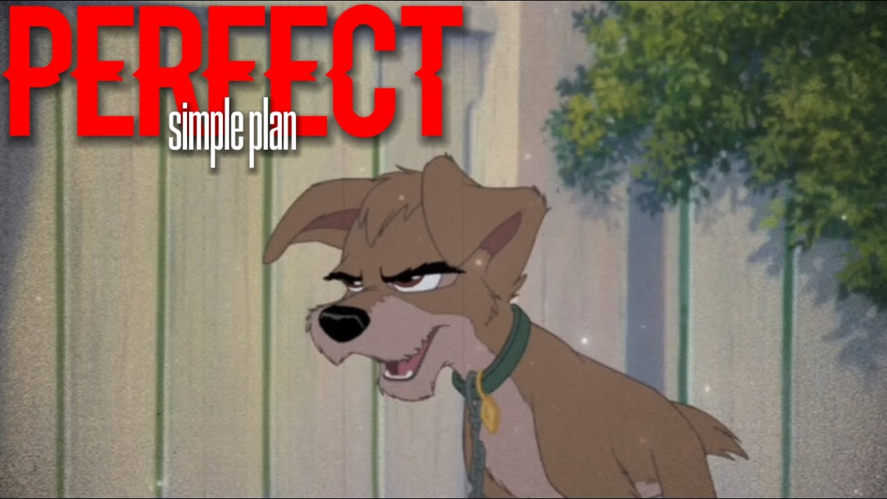 scamp & tramp - perfect (simple plan) - lady and the tramp AMV/edit/tribute - YouTube