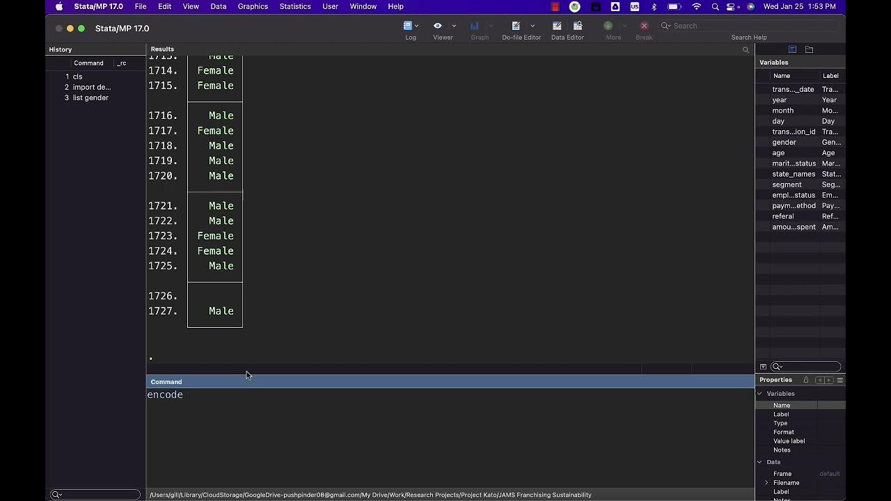 encode text variables STATA - YouTube
