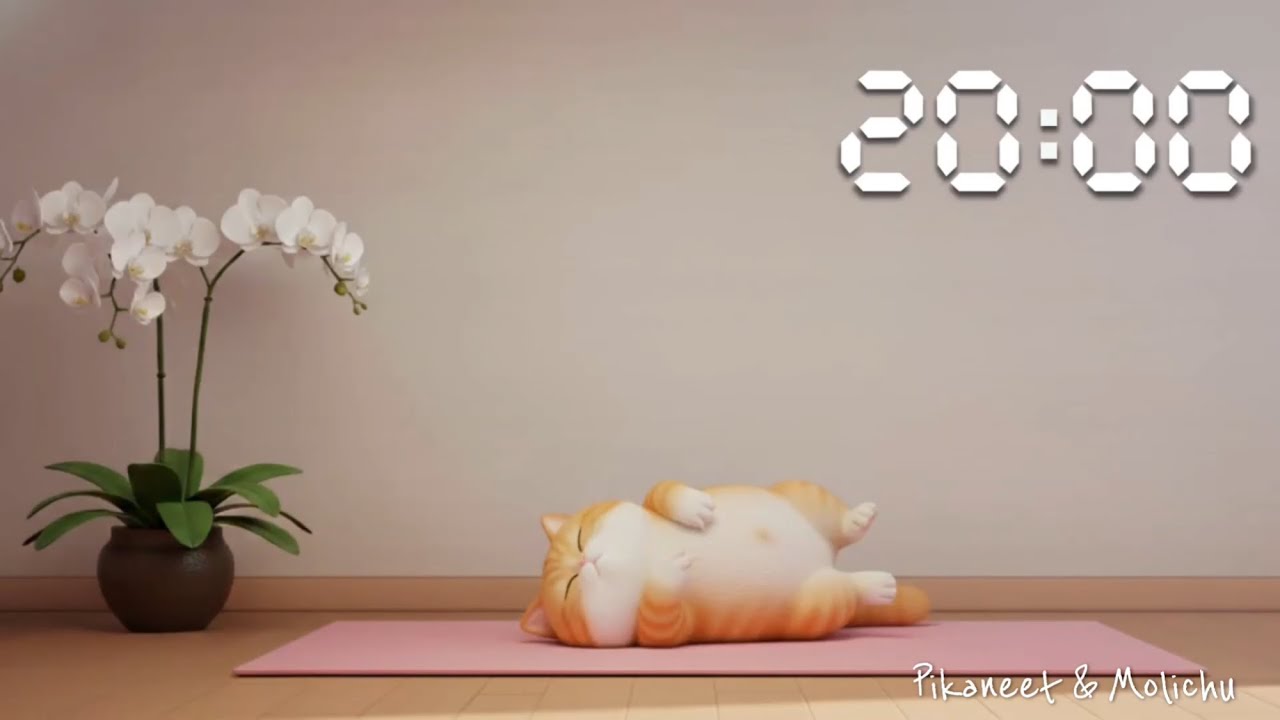 20分鐘貓貓倒數計時| 20 Minute Cat Timer for classroom with music | 20分のタイマー ...