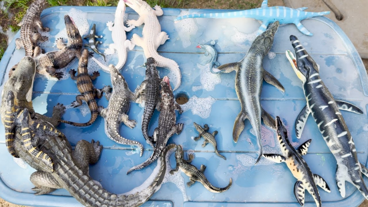 Finding Deadly Crocodiles and Alligators! EXTINCT OCEAN DINOS - YouTube