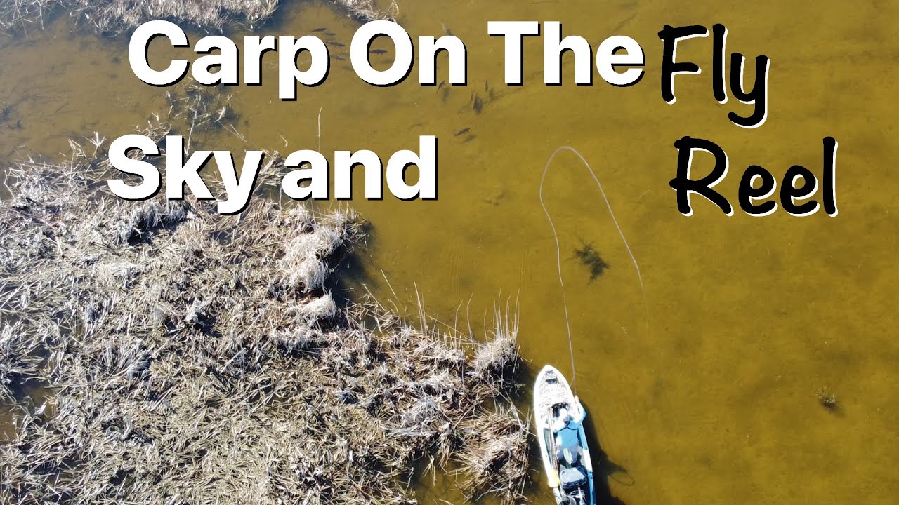 Carp Fly Fishing - Sky and Reel - Carp On The Fly - YouTube