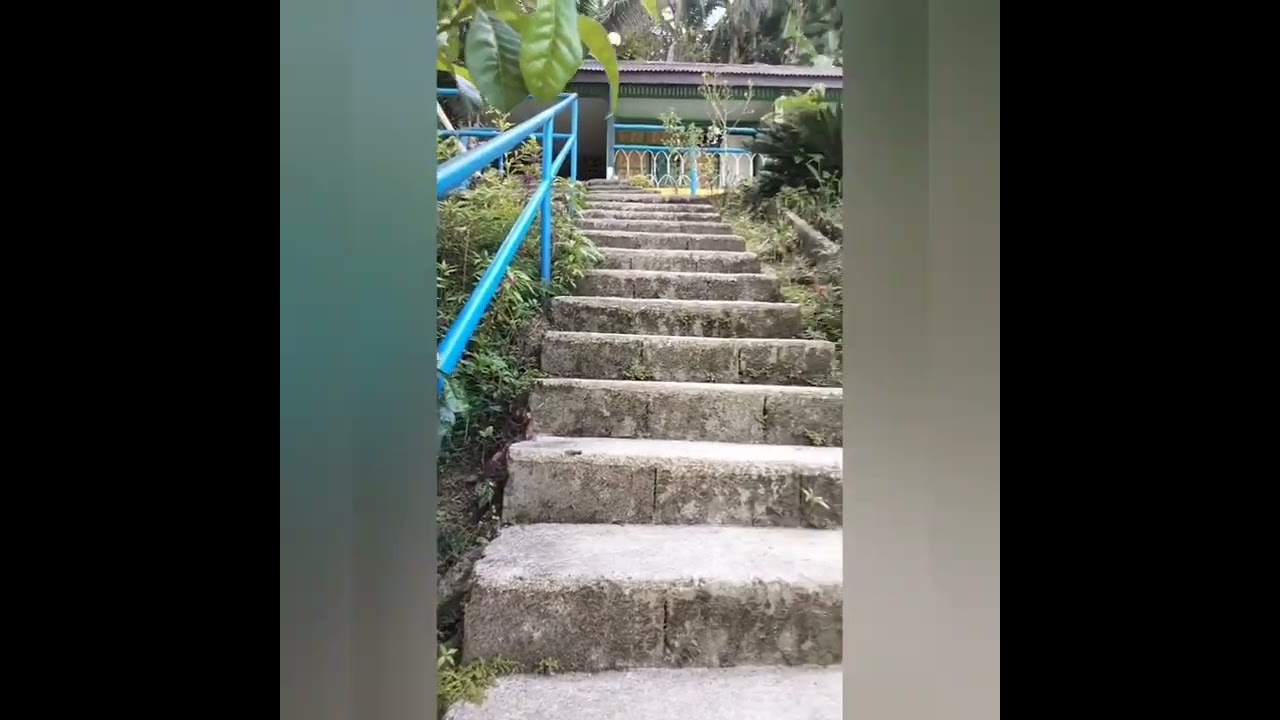 Masdec Spring Resort ( Cold Spring) - YouTube